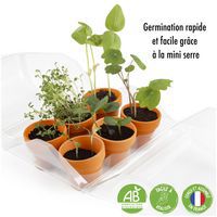 Serre de germination - Radis et Capucine - Pichon.fr