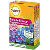 Bleu de france - 500g - Solabiol - Manutan.fr