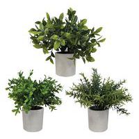 Plantes artificielles Buis romarin - Alba - Manutan.fr
