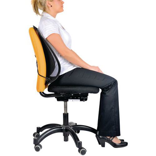 Support dorsal ergonomique en résille - Fellowes - Manutan.fr