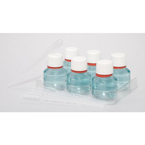 Kit atelier pour encre à dessiner - Pichon.fr