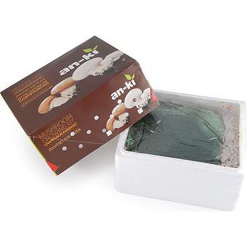 Boite de culture champignons de Paris - Radis et Capucine - Pichon.fr