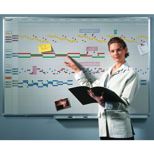 PROFESSIONAL planning annuel - Legamaster - Manutan.fr