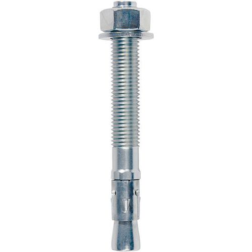 Goujon inox FBN II 10/50 A4-boîte de 20 - Manutan.fr